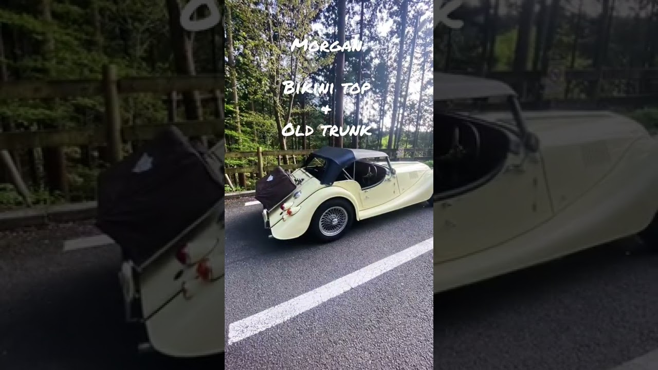 Morgan bikini top & trunk | 車【 動画まとめ
