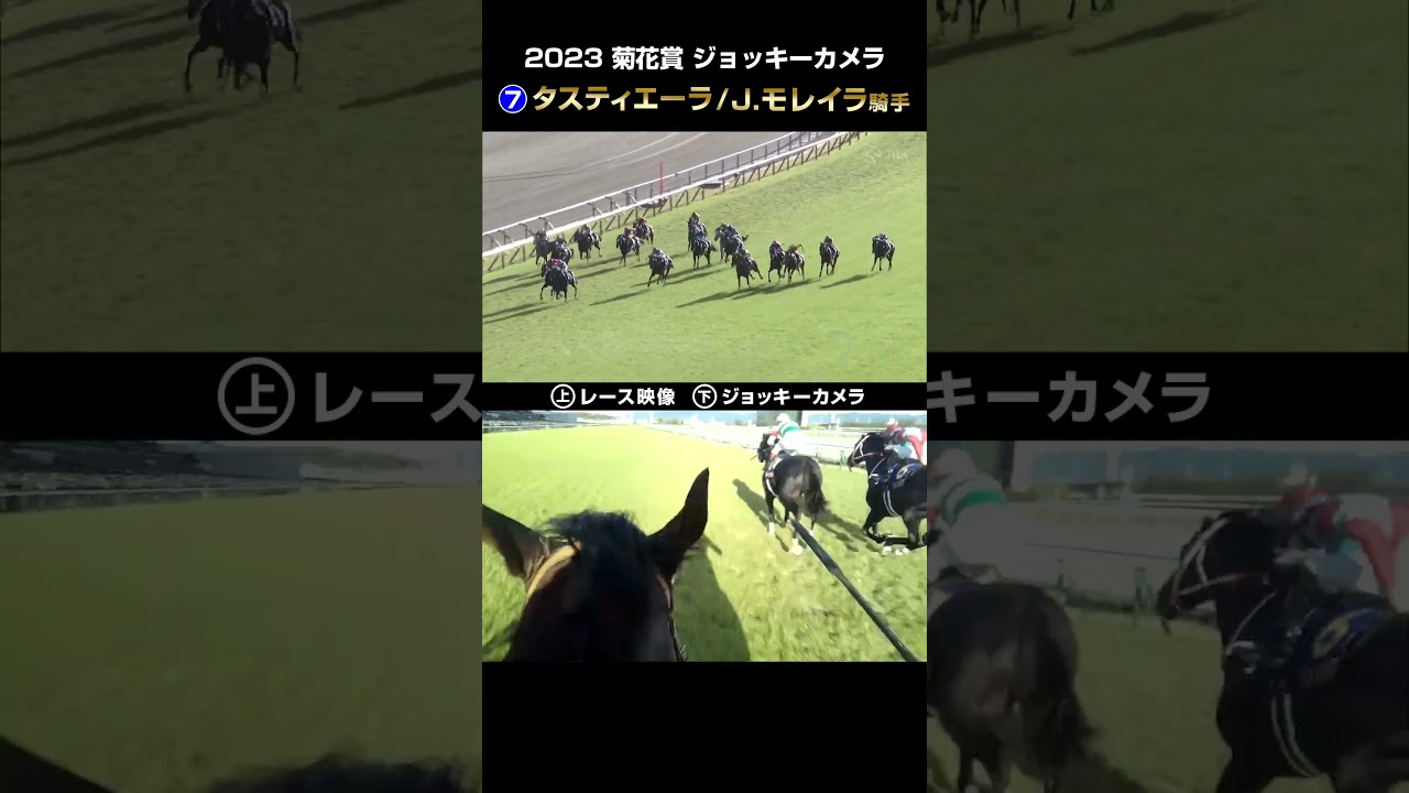 【ジョッキーカメラ×レース映像】2023年菊花賞 タスティエーラ J.モレイラ騎手 #shorts ｜JRA公式 | 競馬動画まとめ