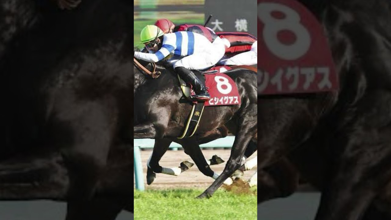 京成杯（G3） 中山競馬場 第11レース 直感予想！ #競馬 #予想 #競馬予想 #買い目 #メインレース #jra #中山競馬場 #中山競馬 #京成杯 | 競馬動画まとめ