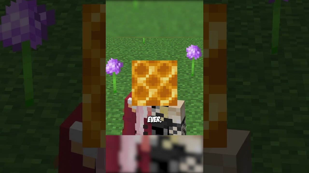 useless minecraft items… | マイクラ（Minecraft）動画まとめ