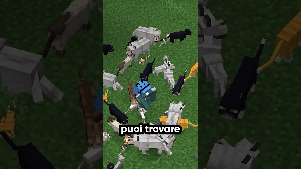 il mob più utile di minecraft @TitanetMC #minecraft #minecraftita # ...