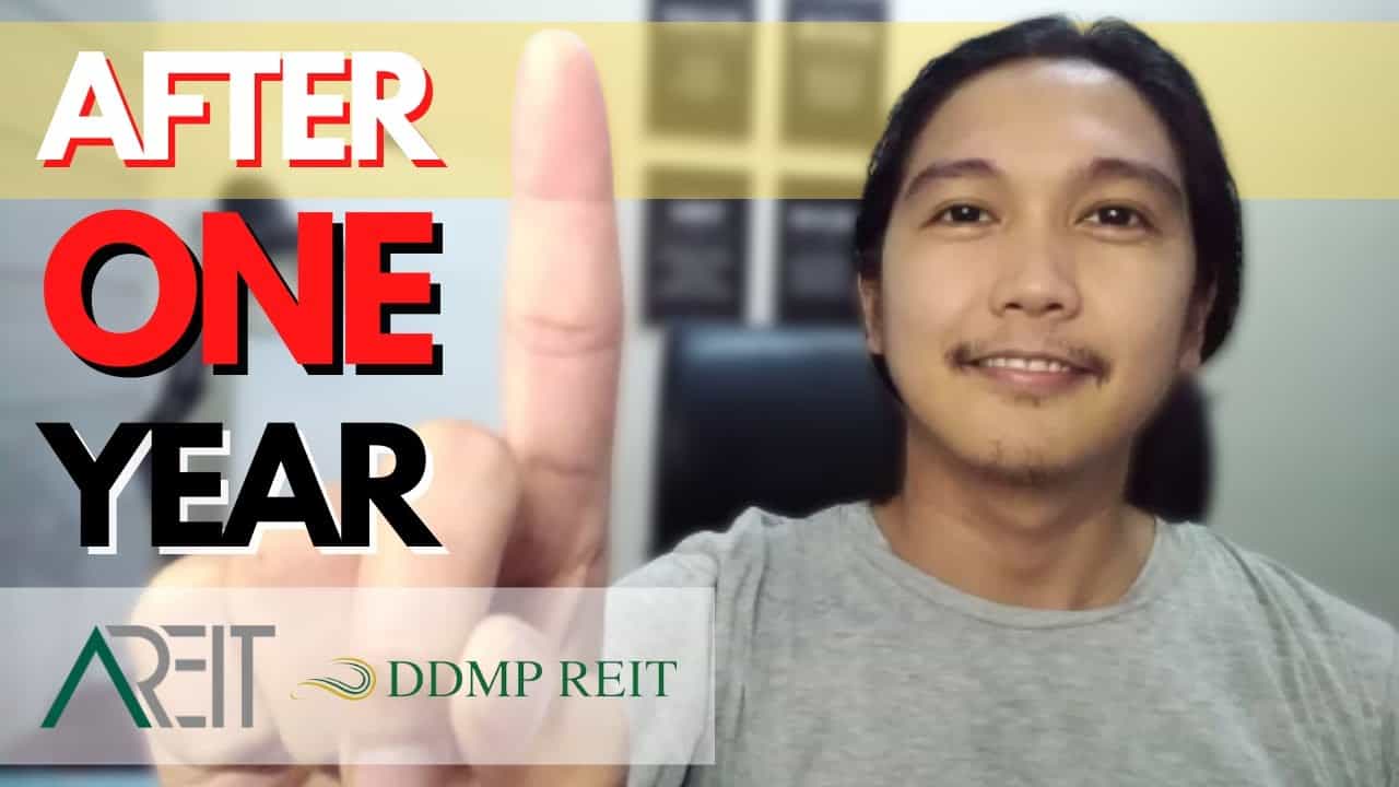 AREIT & DDMP REIT Dividend and Returns (1 Year Results | REIT ...